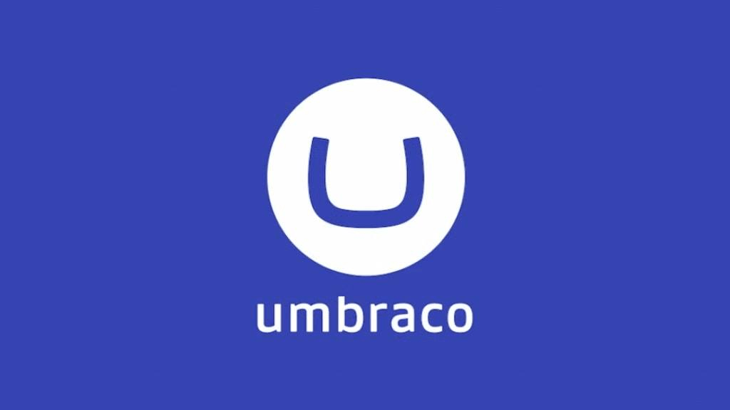 Umbraco CMS: Efficient web solutions for your business